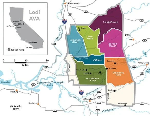 The 5 Best Wineries to Visit in Lodi, California — Lexi's Wine List
