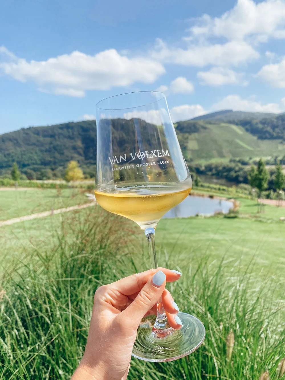 What is Dry Wine? Here are Some of the Best Dry Wines to Drink During ...