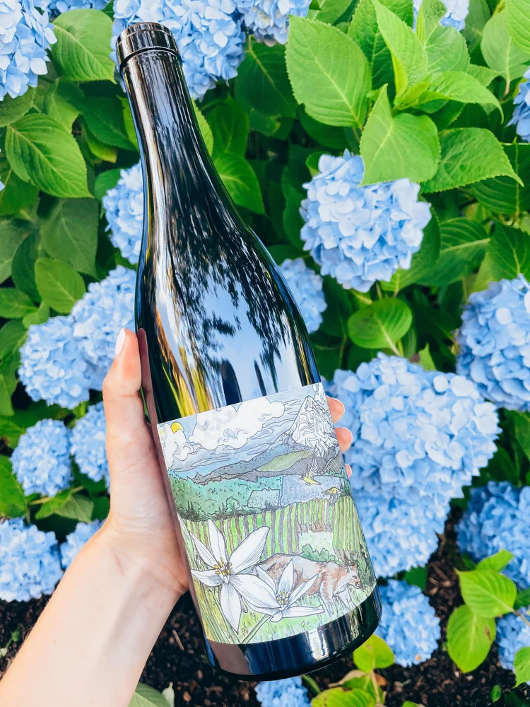 7 Woman-Made Wines to Try Right Now — Lexi's Wine List