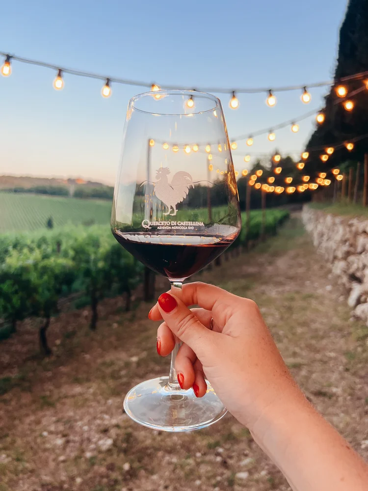 10 Light-Bodied Red Wines That Are Perfectly Chillable — Lexi's Wine List