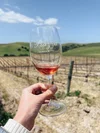 Complete Guide to Santa Barbara Wine Country — Lexi's Wine List