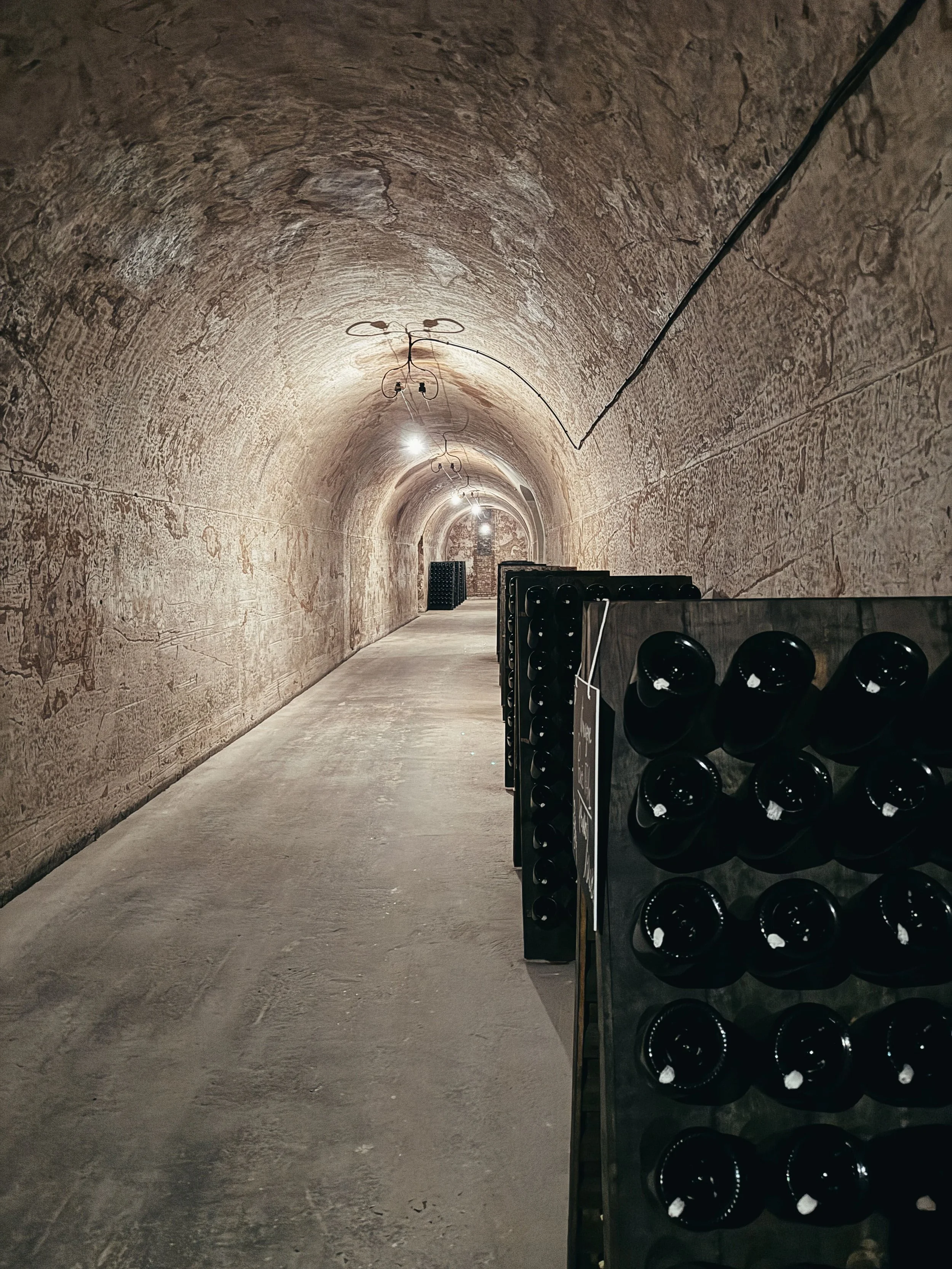 Paris to Champagne by Train: How to Get There, Champagne Houses to ...