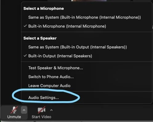 Zoom Instructions — Neighborhood Music School