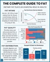 Dietary Fat Explained: How Much You Need and Which Sources Matter — The ...