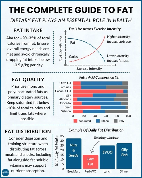 Dietary Fat Explained: How Much You Need and Which Sources Matter — The ...