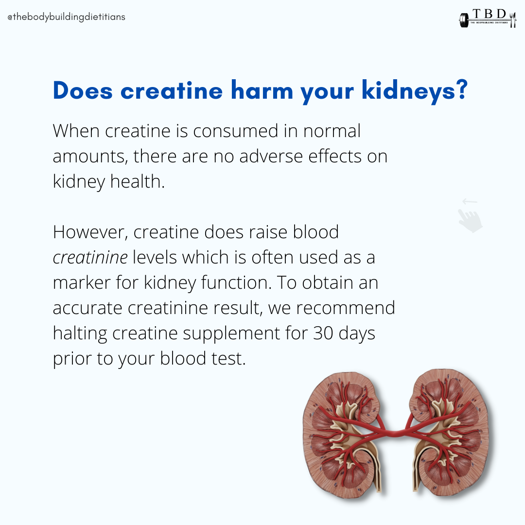 Everything You Need To Know About Creatine Monohydrate — The ...