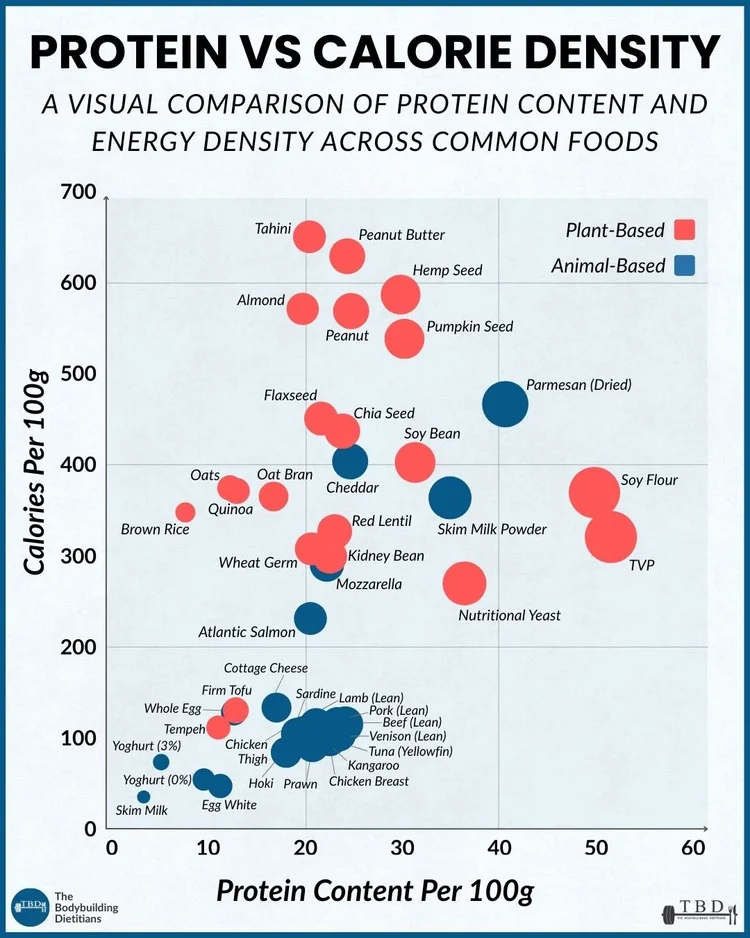 Protein vs Calorie Density: Which Foods Deliver the Most Protein Per ...