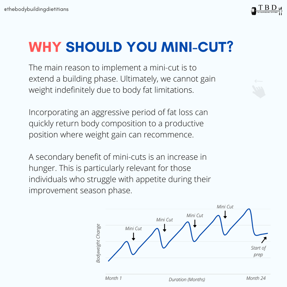 Your Guide To Mini-Cuts - Faster Fat Loss! — The Bodybuilding Dietitians