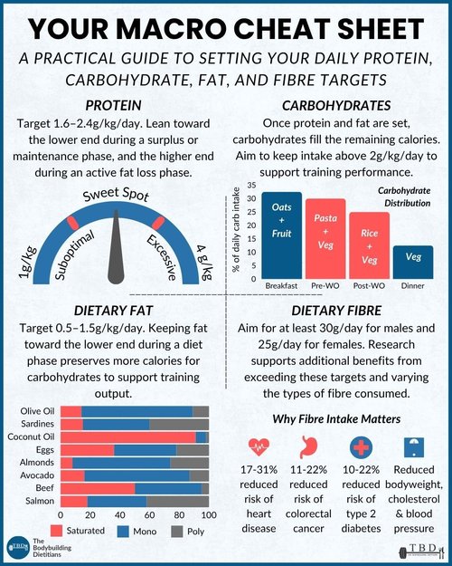 Daily Macro Targets for Muscle Gain, Fat Loss, and Training Performance ...