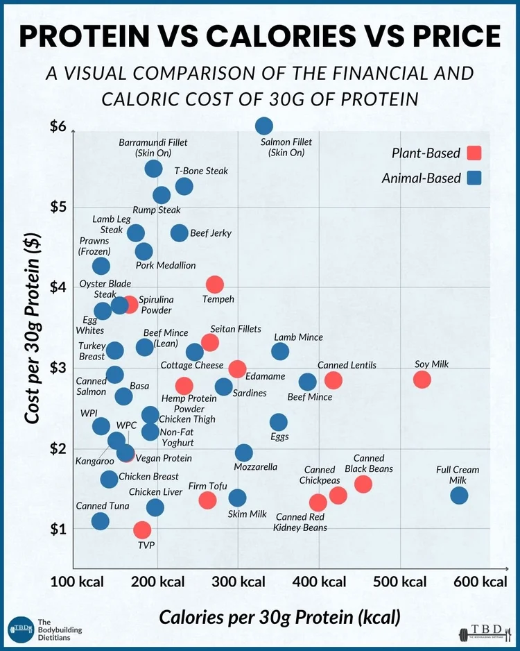 Protein vs Calories vs Cost: Comparing the Most Efficient Protein ...
