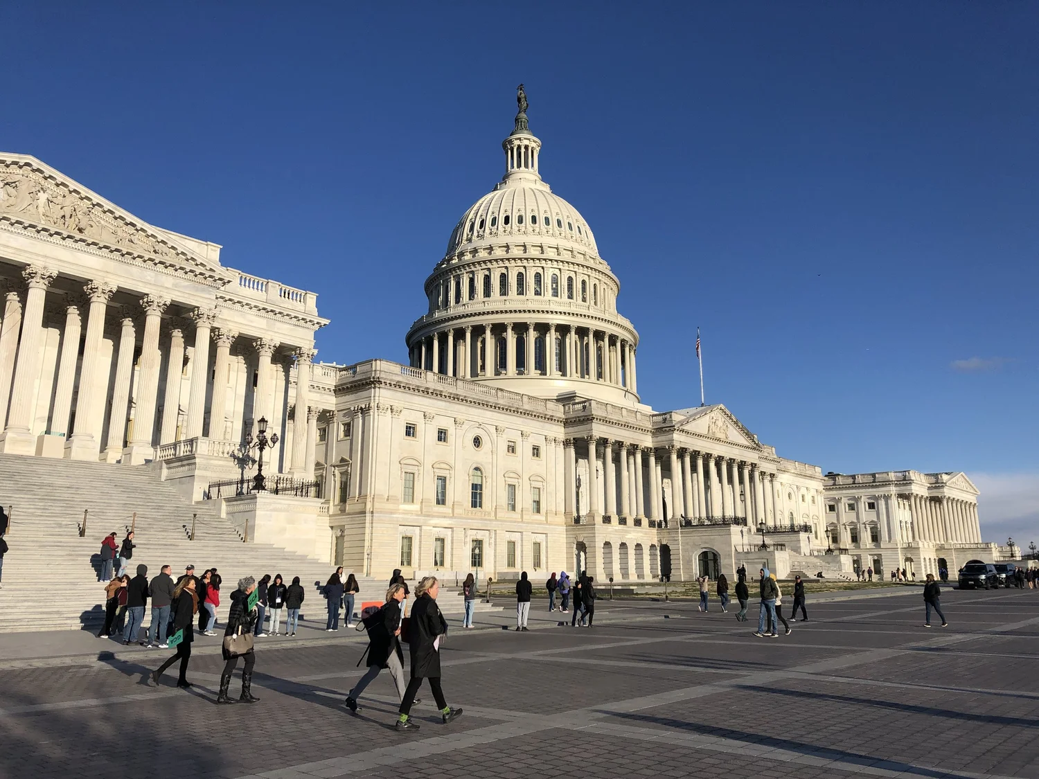 National Native Plant Month