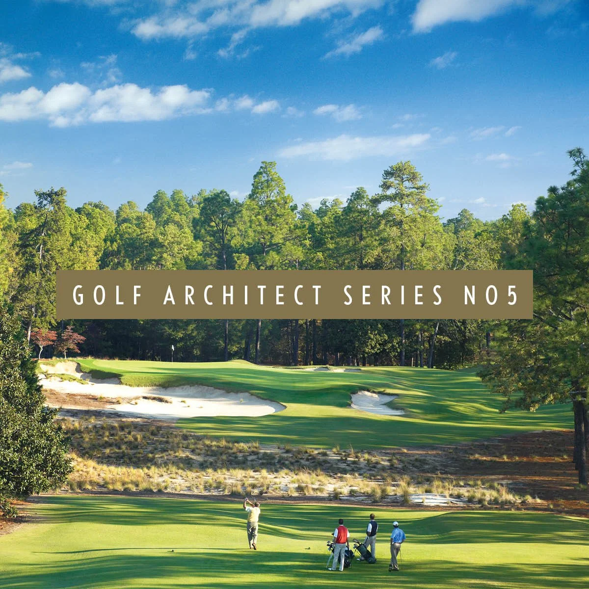 Form Submission Redirect - Thank You — GolfTraveller