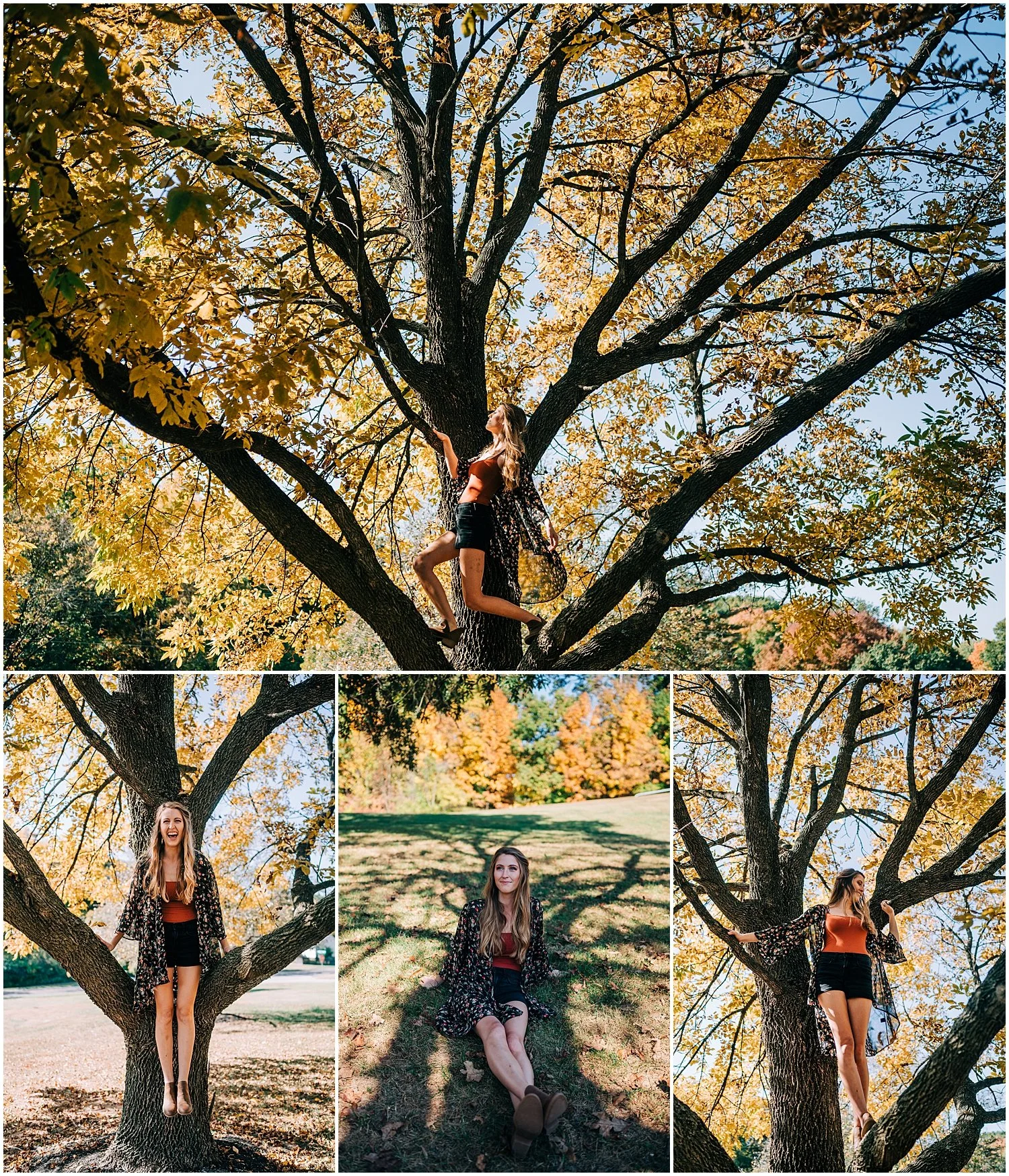 Favorite Places For Fall Colors in St. Louis — St. Louis Dance ...