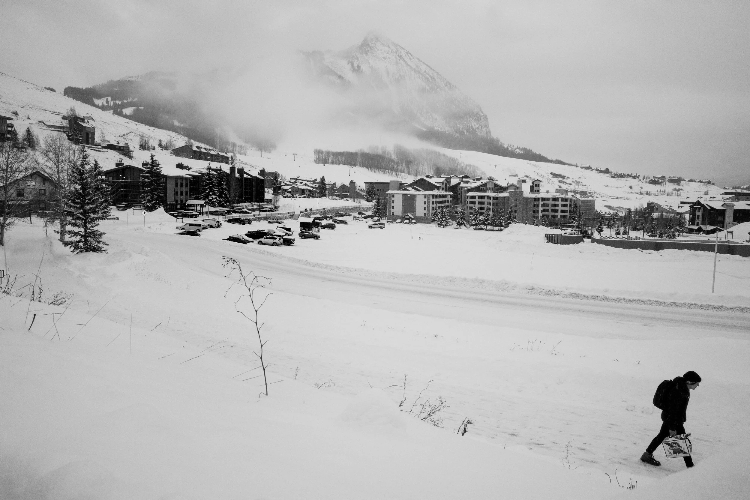 Never Never Land — Jacob Spetzler