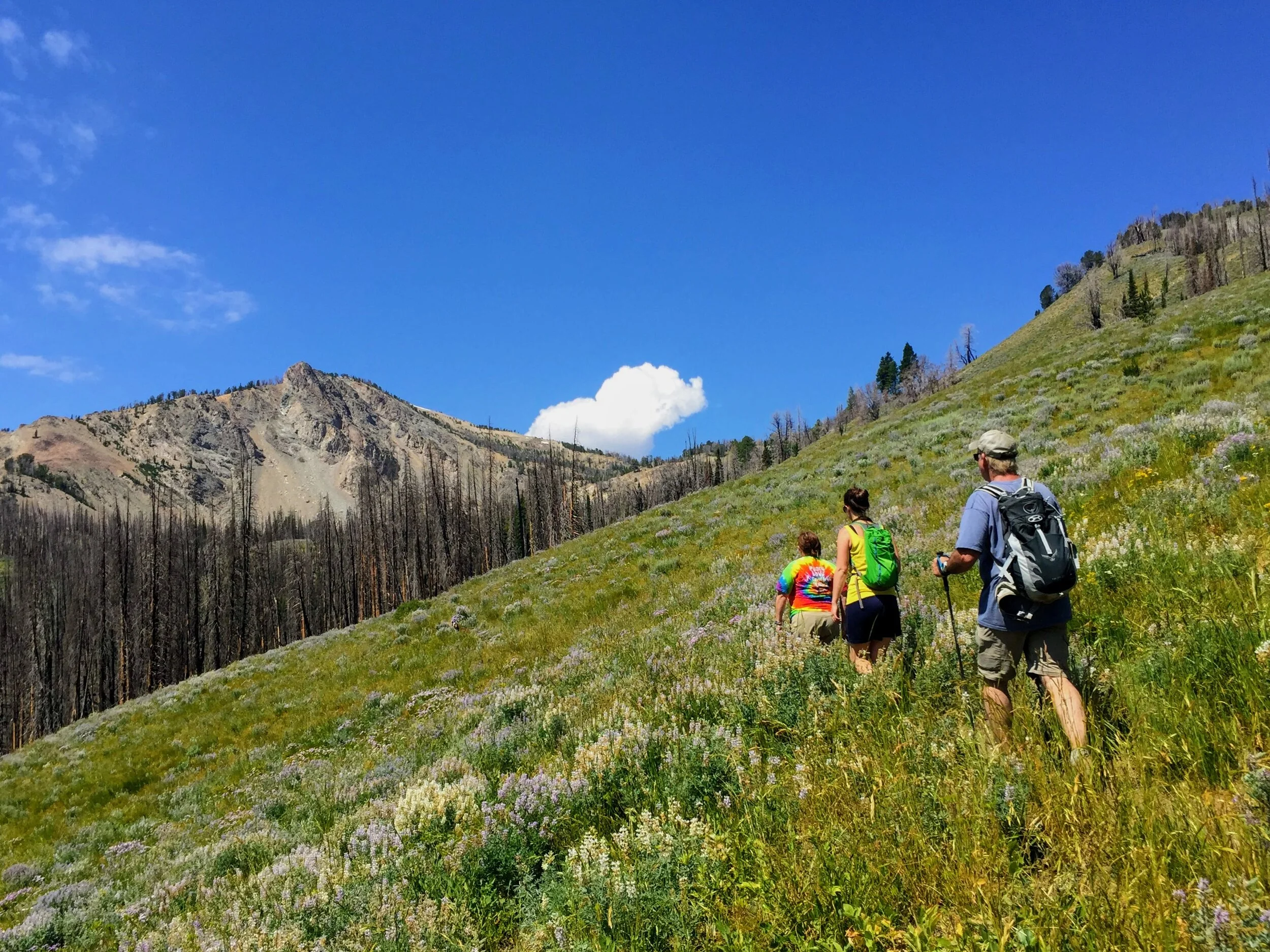 SUMMER — Sun Valley Guides