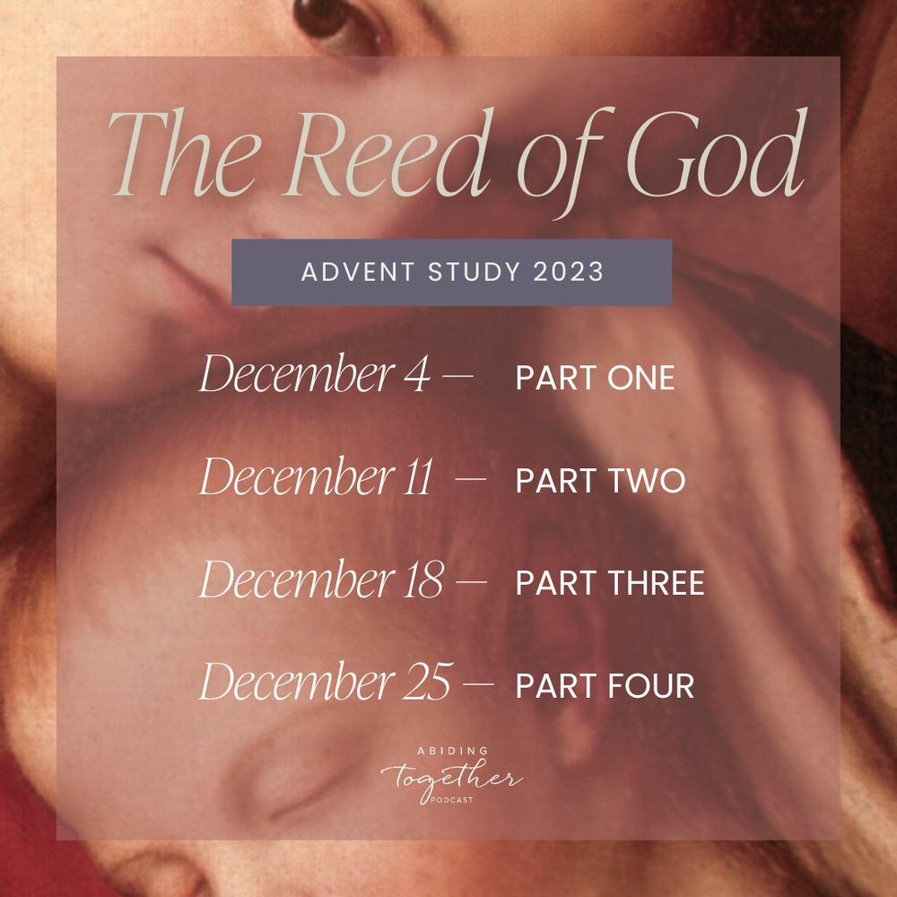 The Reed of God (Advent Study) — Abiding Together