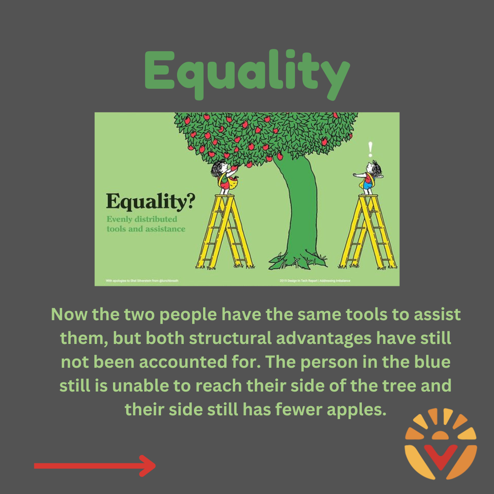 What Is Equity? — Village Engage