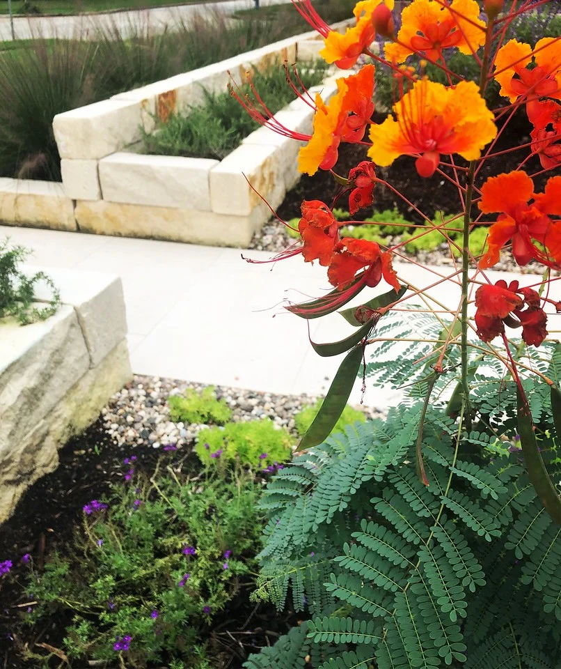 PETAL ORGANIC LANDSCAPING