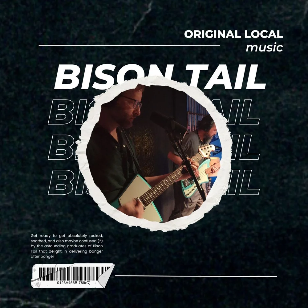Bison Tail Studios