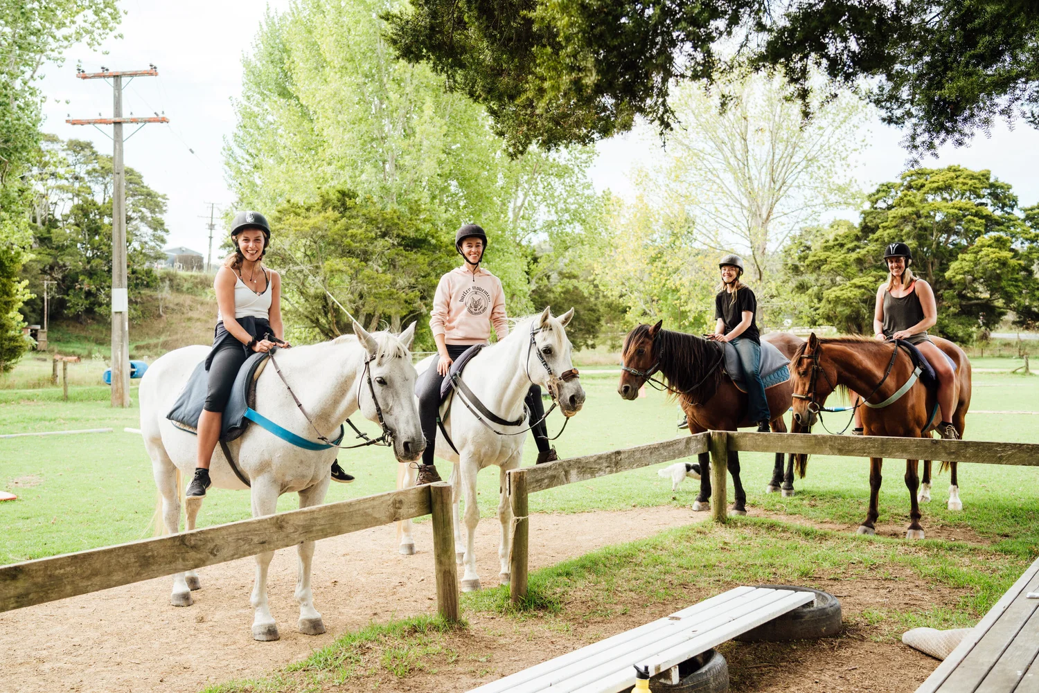 Horse Riding Treks — The Farm