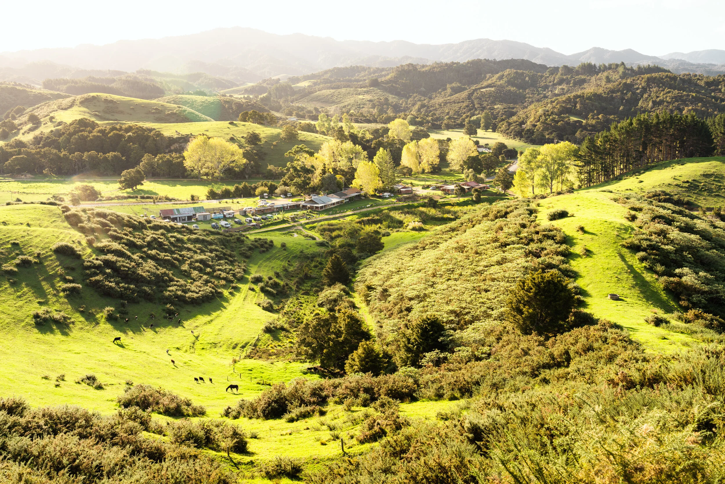 Gallery — The Farm