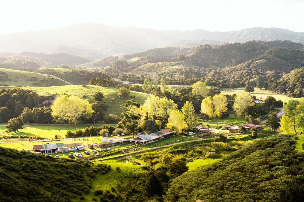 Horse Grazing Whangarei — The Farm