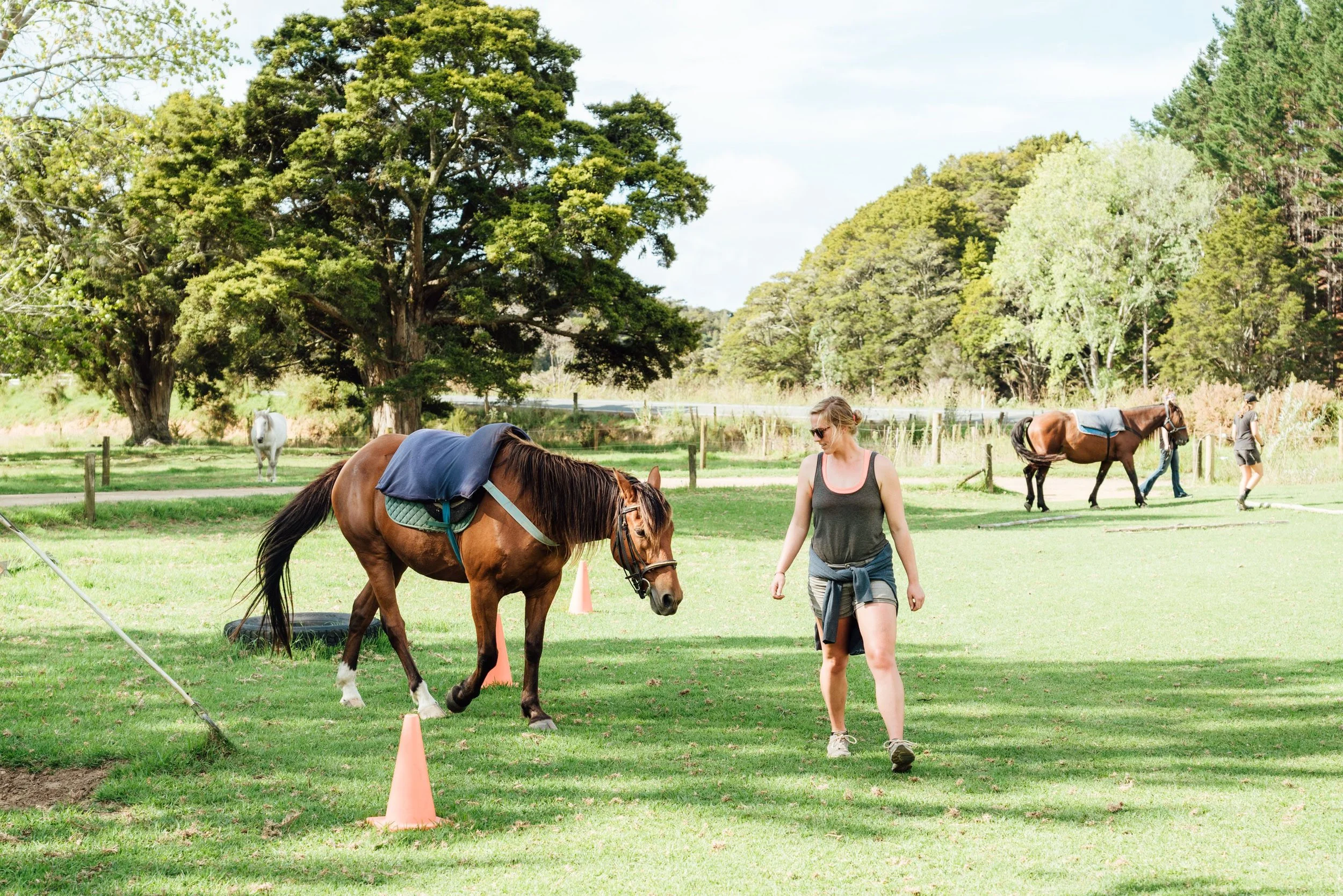 Horse Riding Treks — The Farm