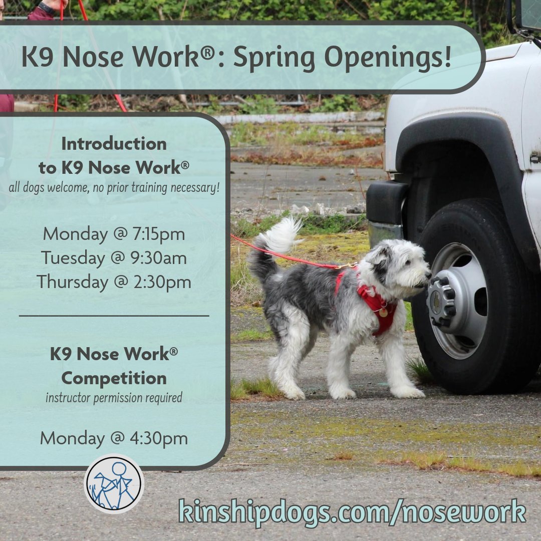 Kinship Dog Training