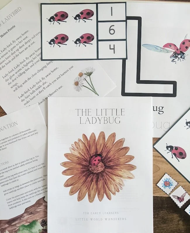 Multicultural Homeschool units — Little World Wanderers