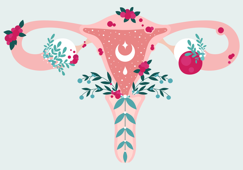 PCOS - The 4 TYPES — Ellen Louise Naturopath