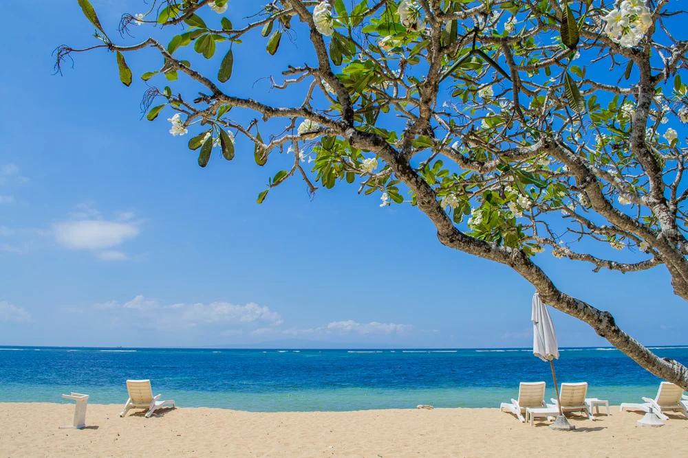 Bali Beach — Ainsley DS Creative