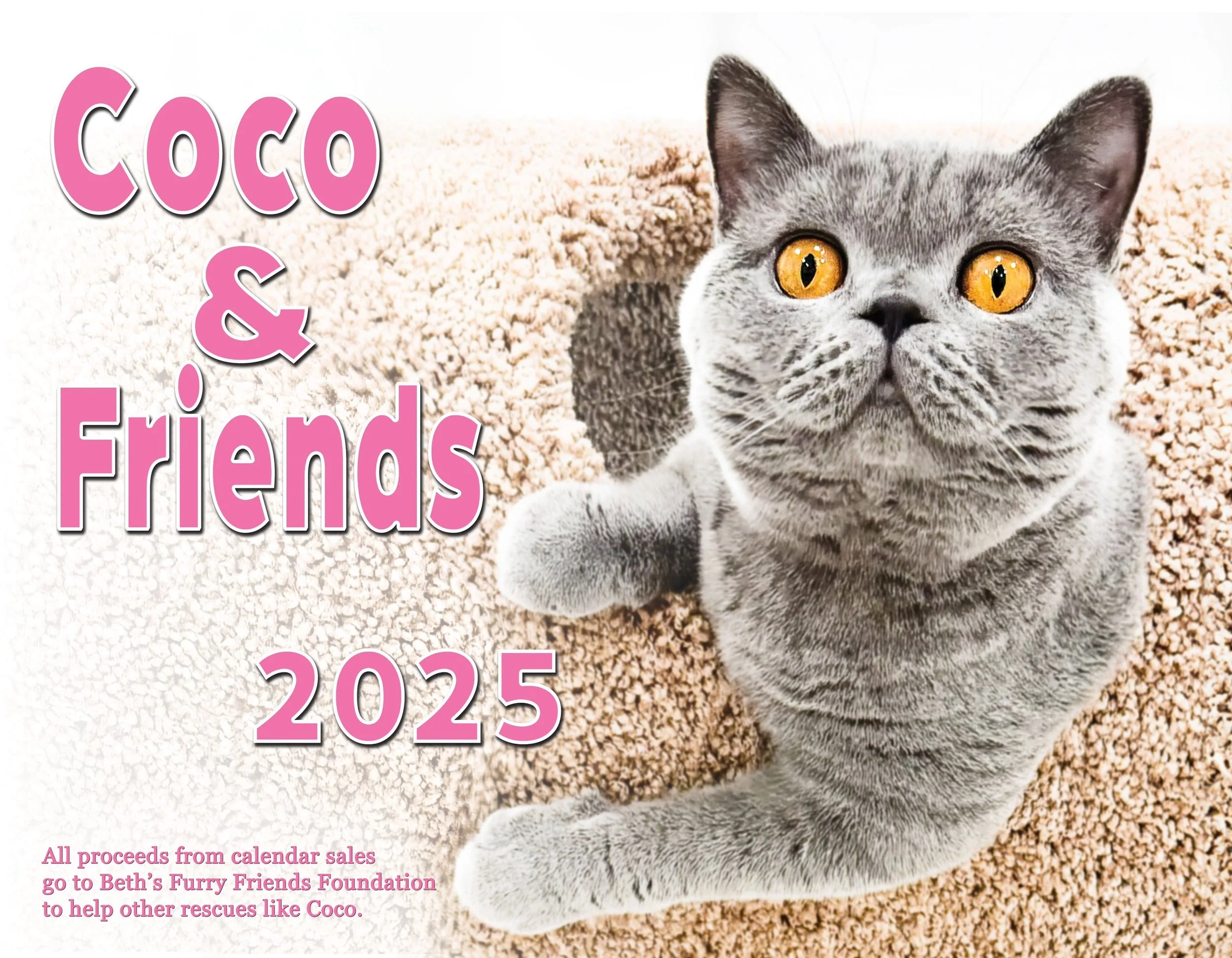 Beth’s Furry Friends