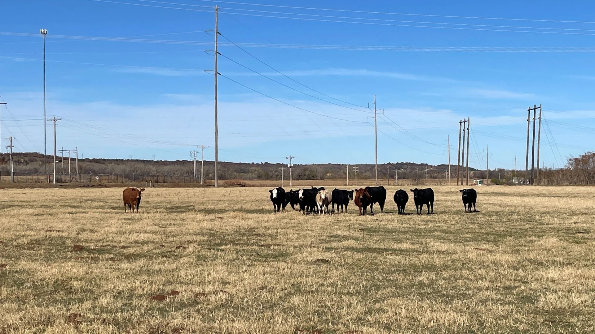 Western Farmers Electric Cooperative