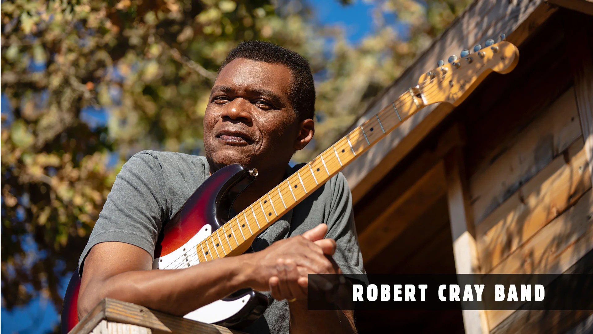 Thirty Tigers: Marketing | Distribution | Publishing