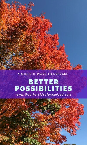 How to Prepare Yourself for Better Possibilities — Oh, So Organized