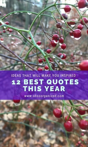 12 Best Quotes of the Year That Will Make You Inspired — Oh, So Organized