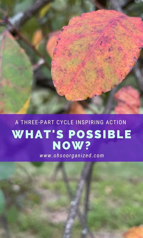 What's Absolutely Possible Now With the Thought-Motivation-Action Cycle ...