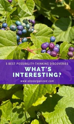 Here Are Today's Most Interesting and Best Possibility-Thinking ...
