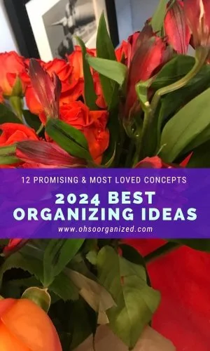 12 Promising and Best Loved Organizing Ideas of the Year — Oh, So Organized