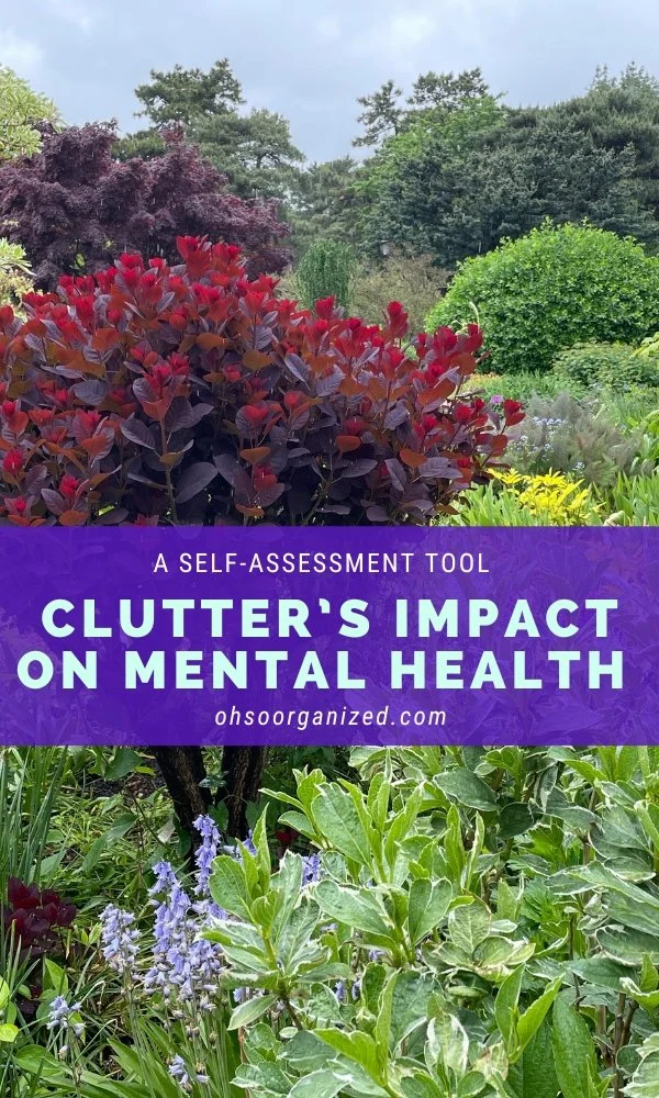 One Excellent Tool to Assess Clutter's Impact on Your Mental Health ...