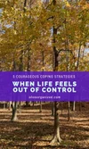 5 Courageous Coping Strategies When Life Feels Out of Control — Oh, So Organized