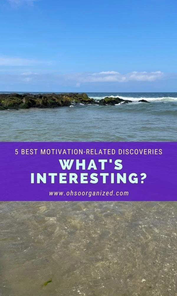 Here Are Today's Most Interesting and Best Motivation Discoveries - v41 ...