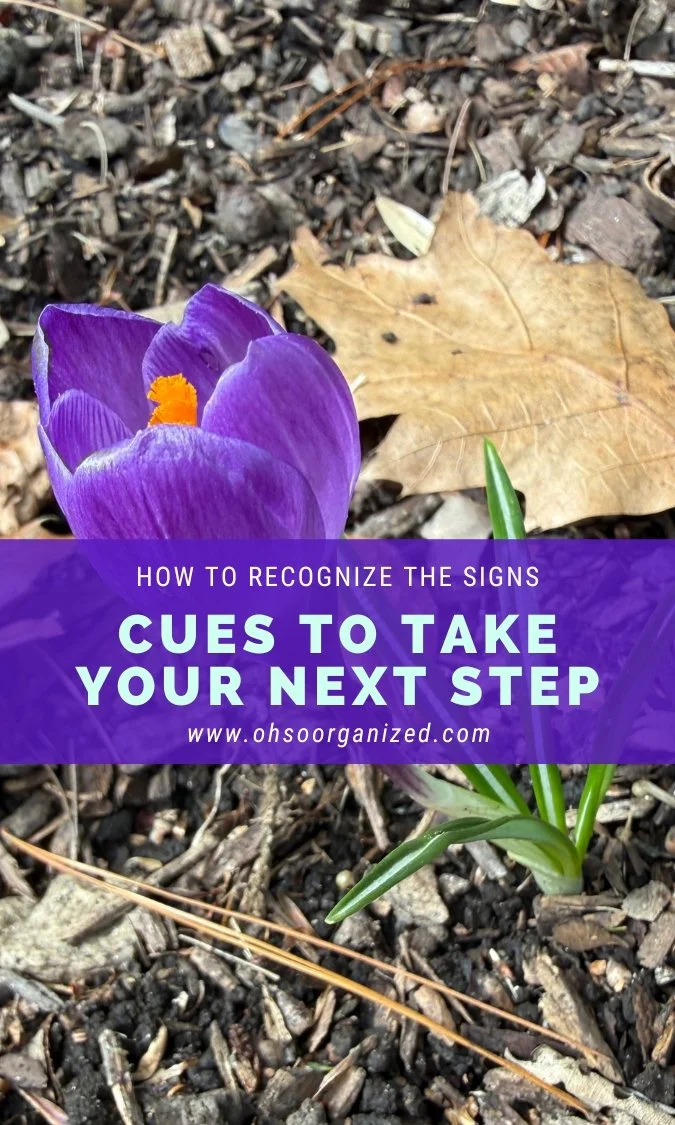 How to Actually Recognize the Simple Cues to Help Know Your Next Step ...