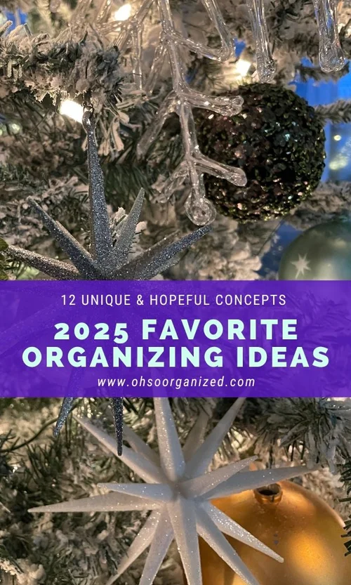 12 Favorite Organizing Ideas of the Year That Are Unique and Hopeful ...