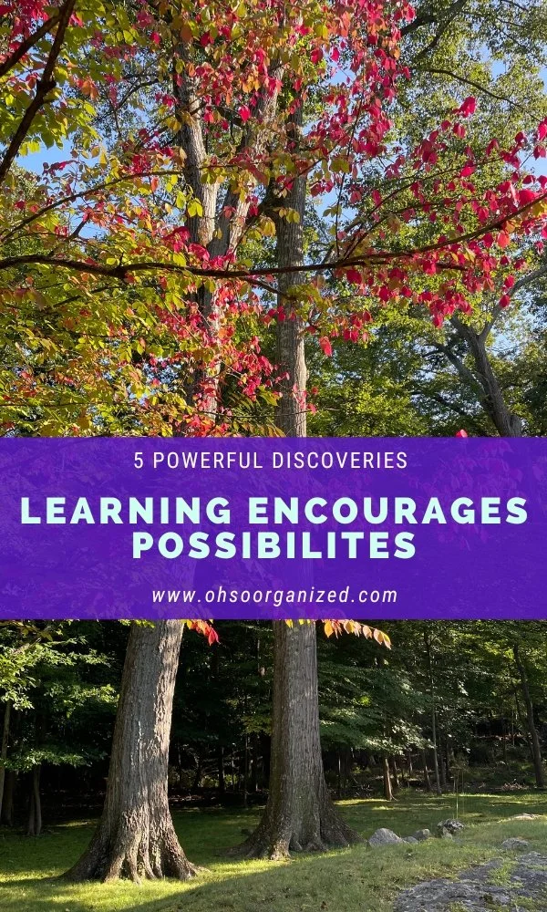 5 Powerful Ways Learning at an Organizing Conference Encourages ...