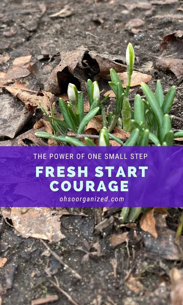 When Your Fresh Start Begins with One Small, Courageous Step — Oh, So ...