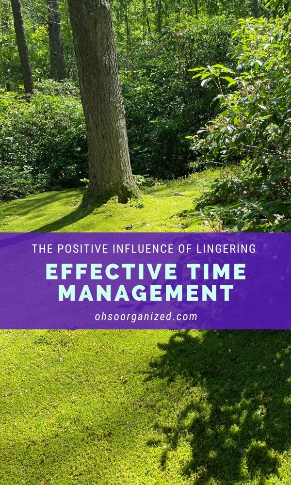 Blog — Oh, So Organized