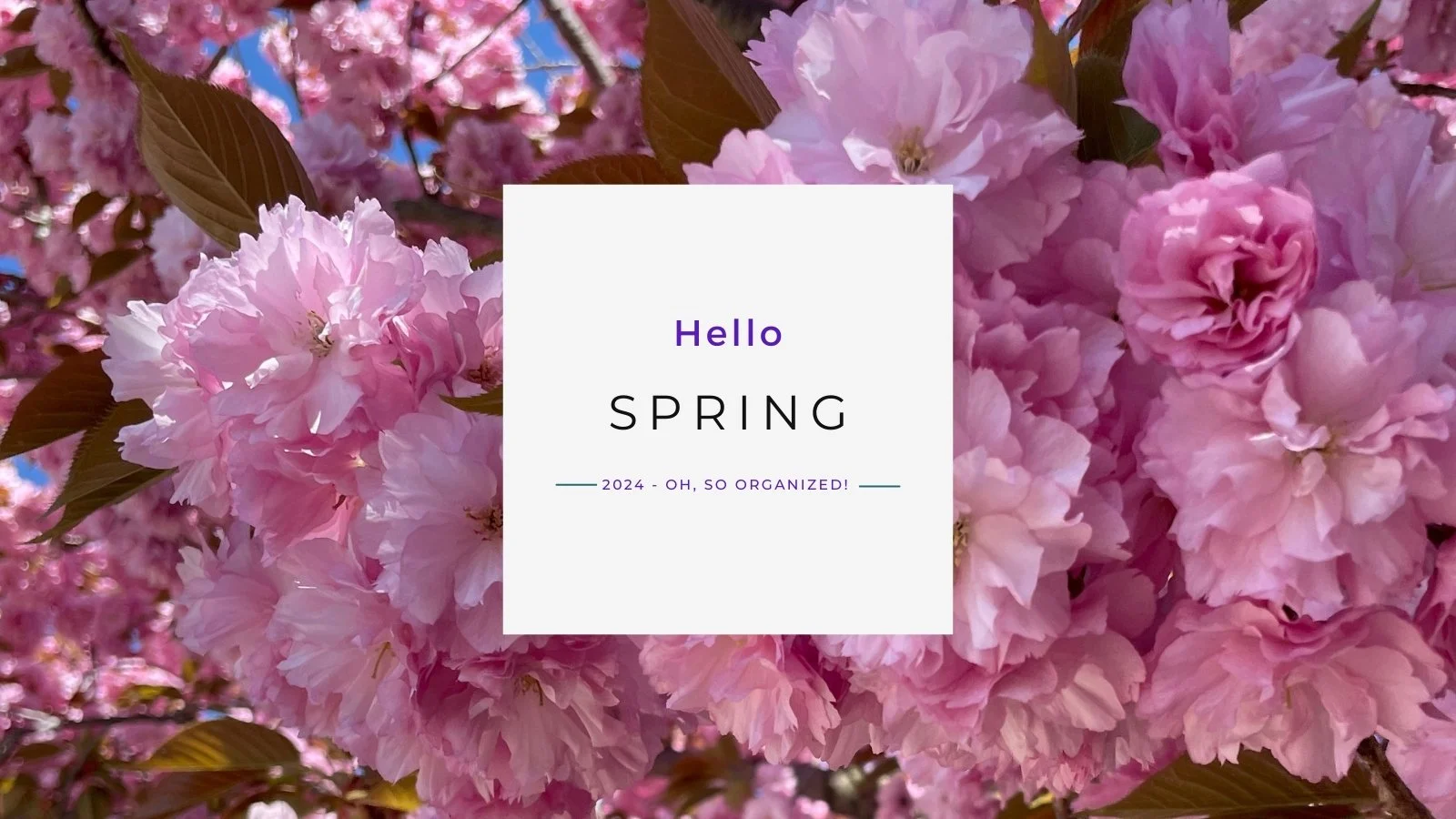 Blog — Oh, So Organized