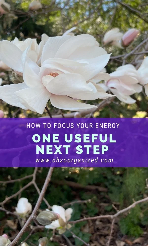 What's Possible When You Focus Your Energy on One Useful Next Step — Oh ...