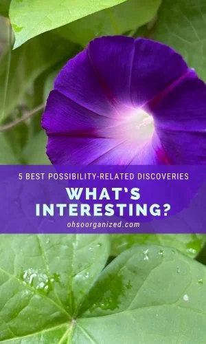 Here Are Today's Most Interesting and Best Possibility Discoveries ...